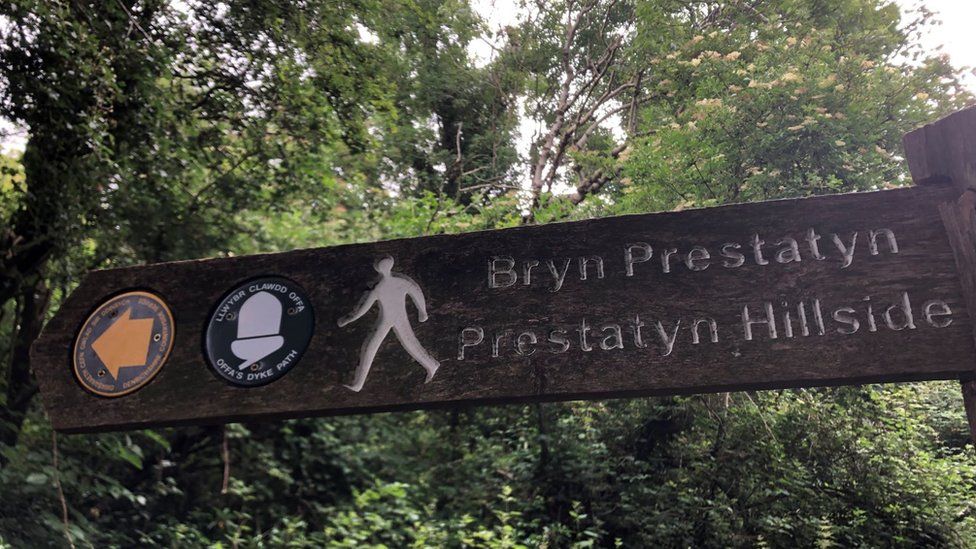 Llwybr Clawdd Offa 'mor boblogaidd ag erioed' - BBC Cymru Fyw