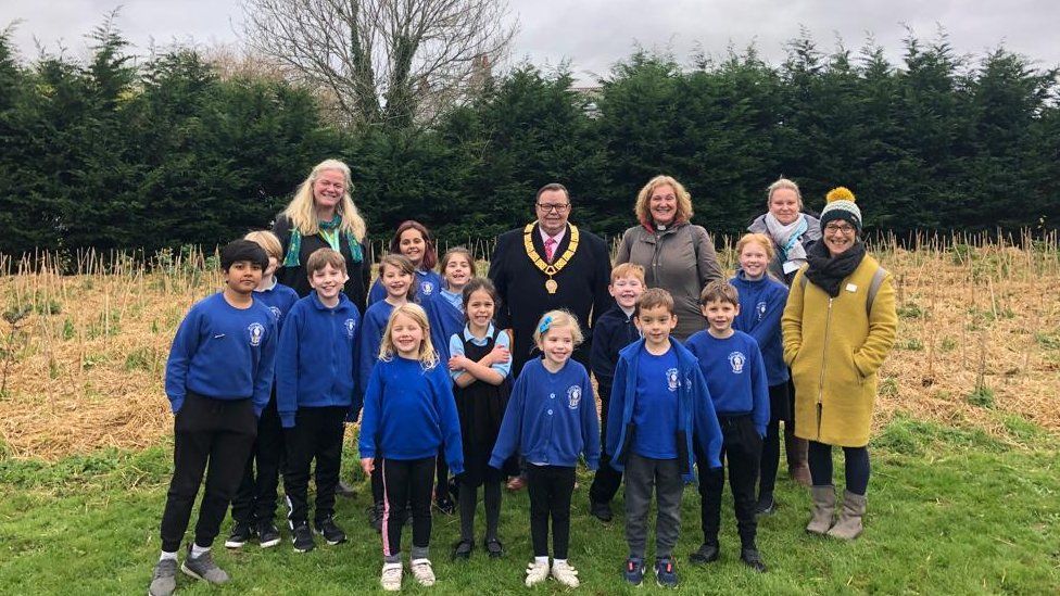 Schoolchildren create temperate rainforest in St Columb Major - BBC News