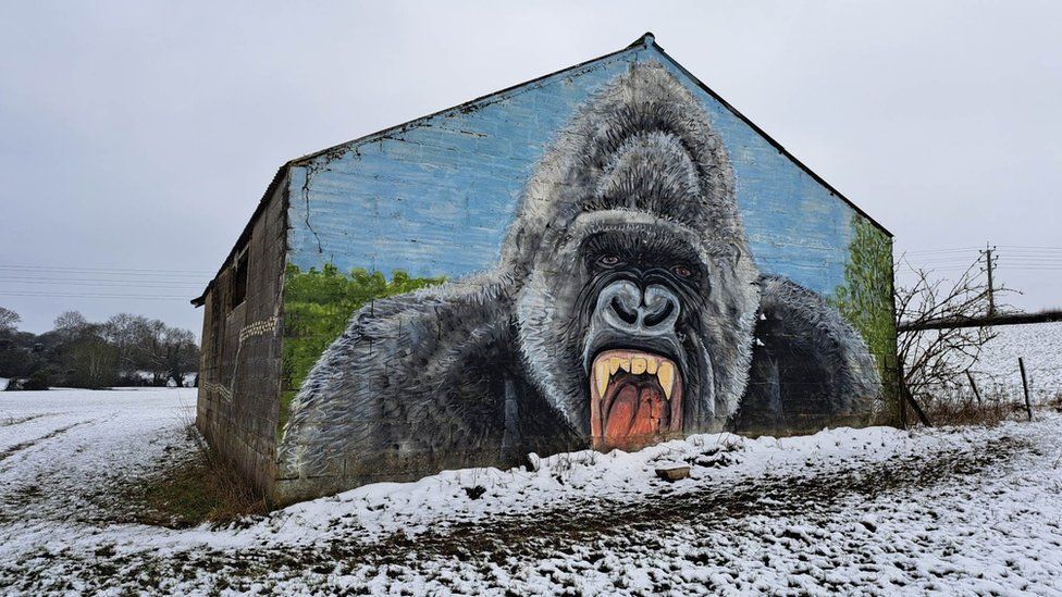 In pictures: Snow scenes across the west - BBC News