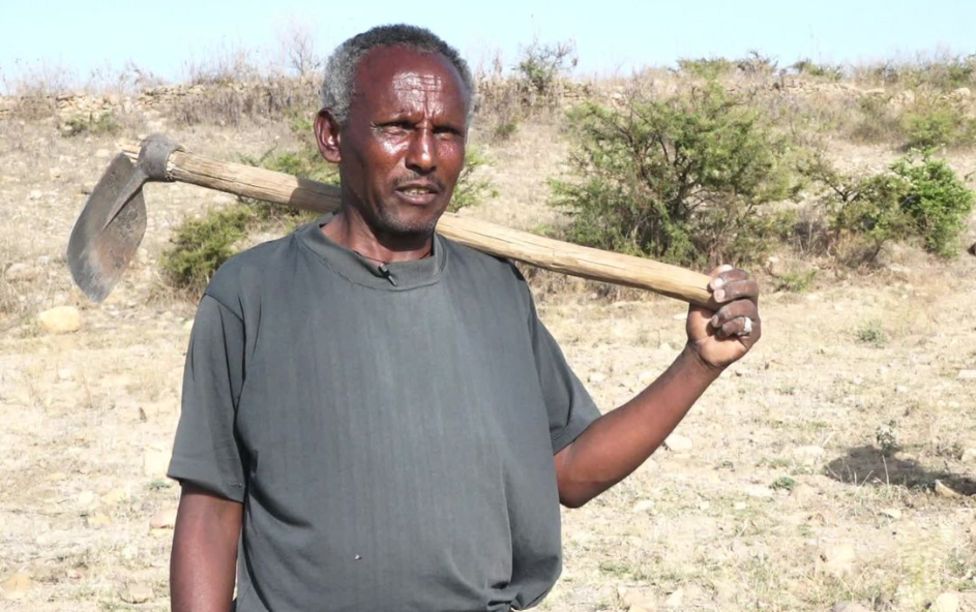 Two million at risk of starvation in Tigray, aid official warns - BBC News