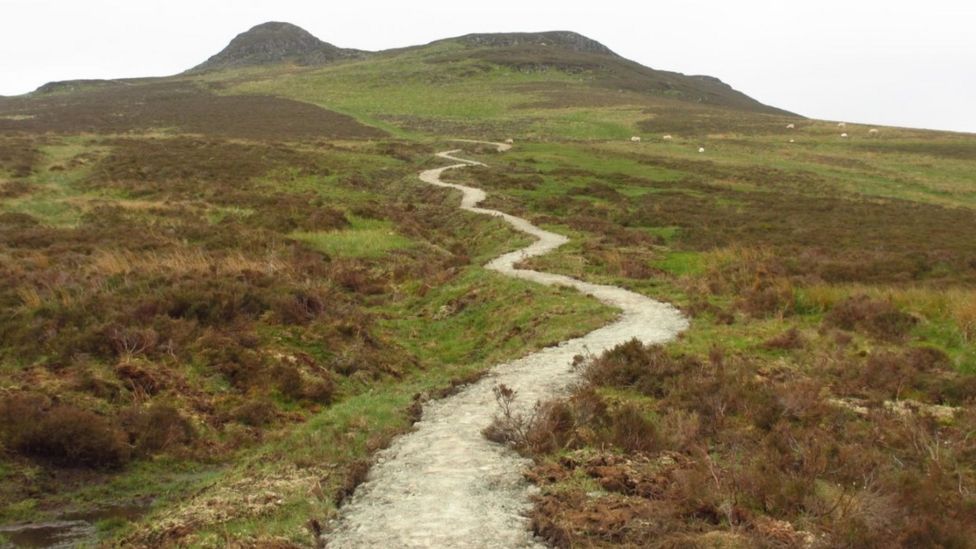 Lake District fells project more needed than ever, officials say - BBC News