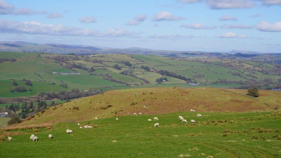 Lle i enaid gael llonydd: Siân James - BBC Cymru Fyw