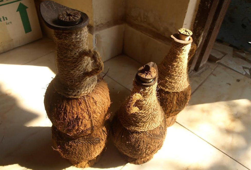 Why has Goa decided the coconut palm is no longer a tree? - BBC News