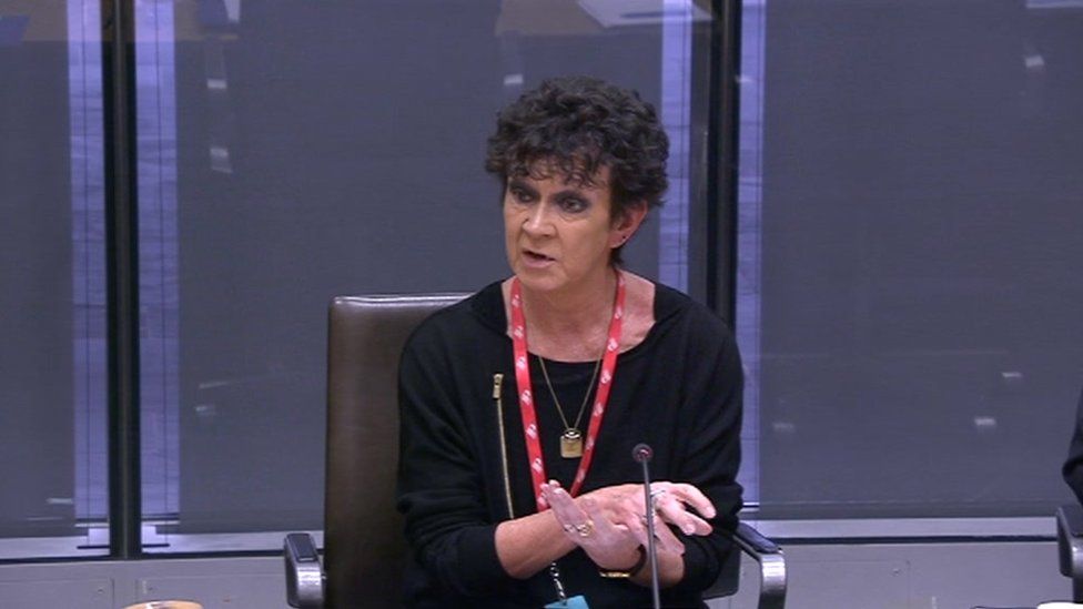 Welsh language commissioner warns progress 'could slow down' - BBC News