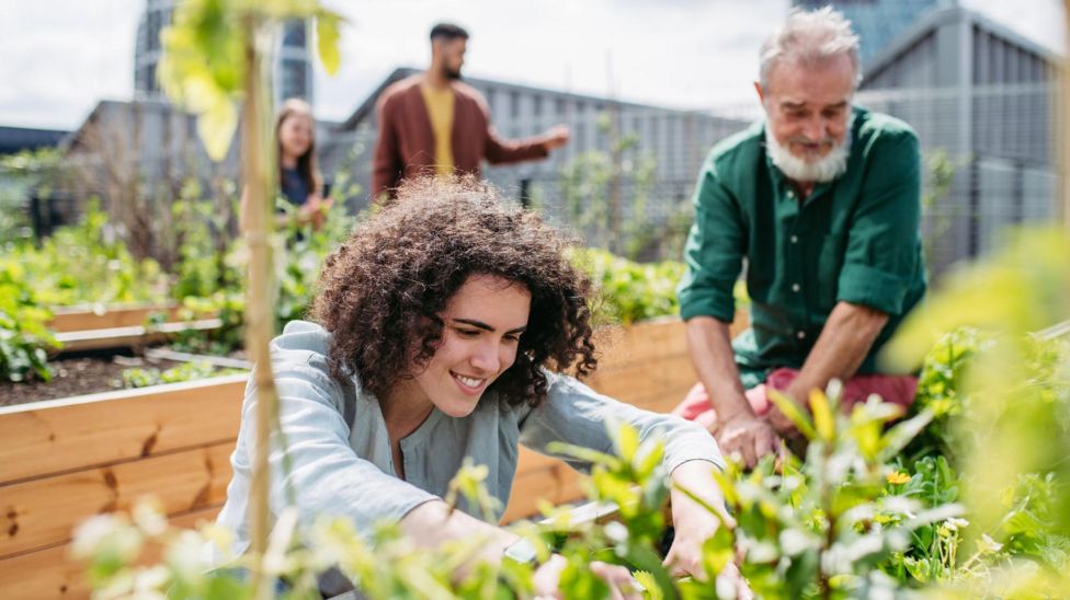 Staffordshire County Council to award grants for environmental projects ...