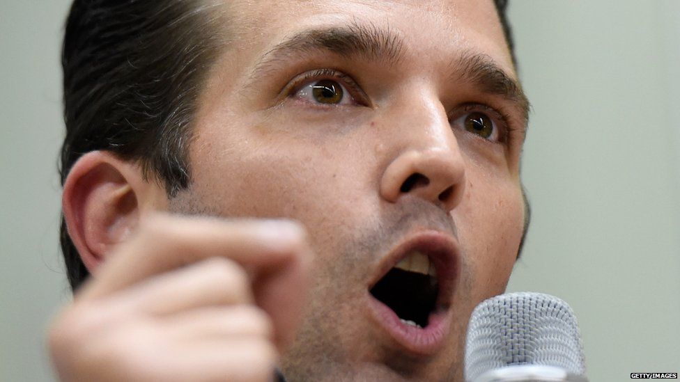 The internet turns the Donald Trump Jr saga into memes - BBC News