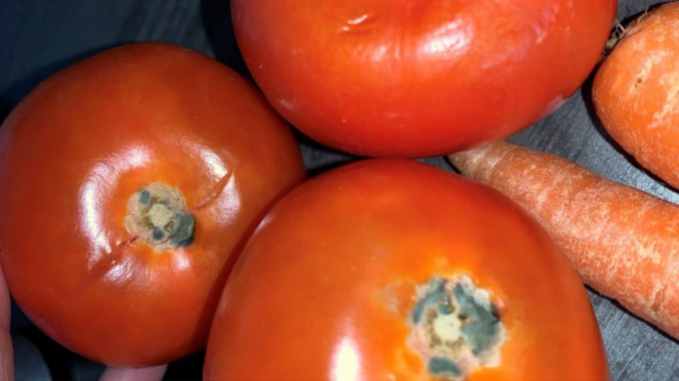 Free school meals: 'Mouldy' food prompts action from mums - BBC News