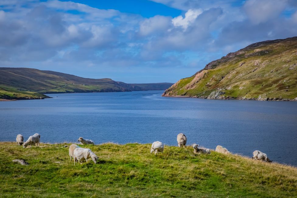 A cluster of islands: How Shetland locked down early and stopped the ...