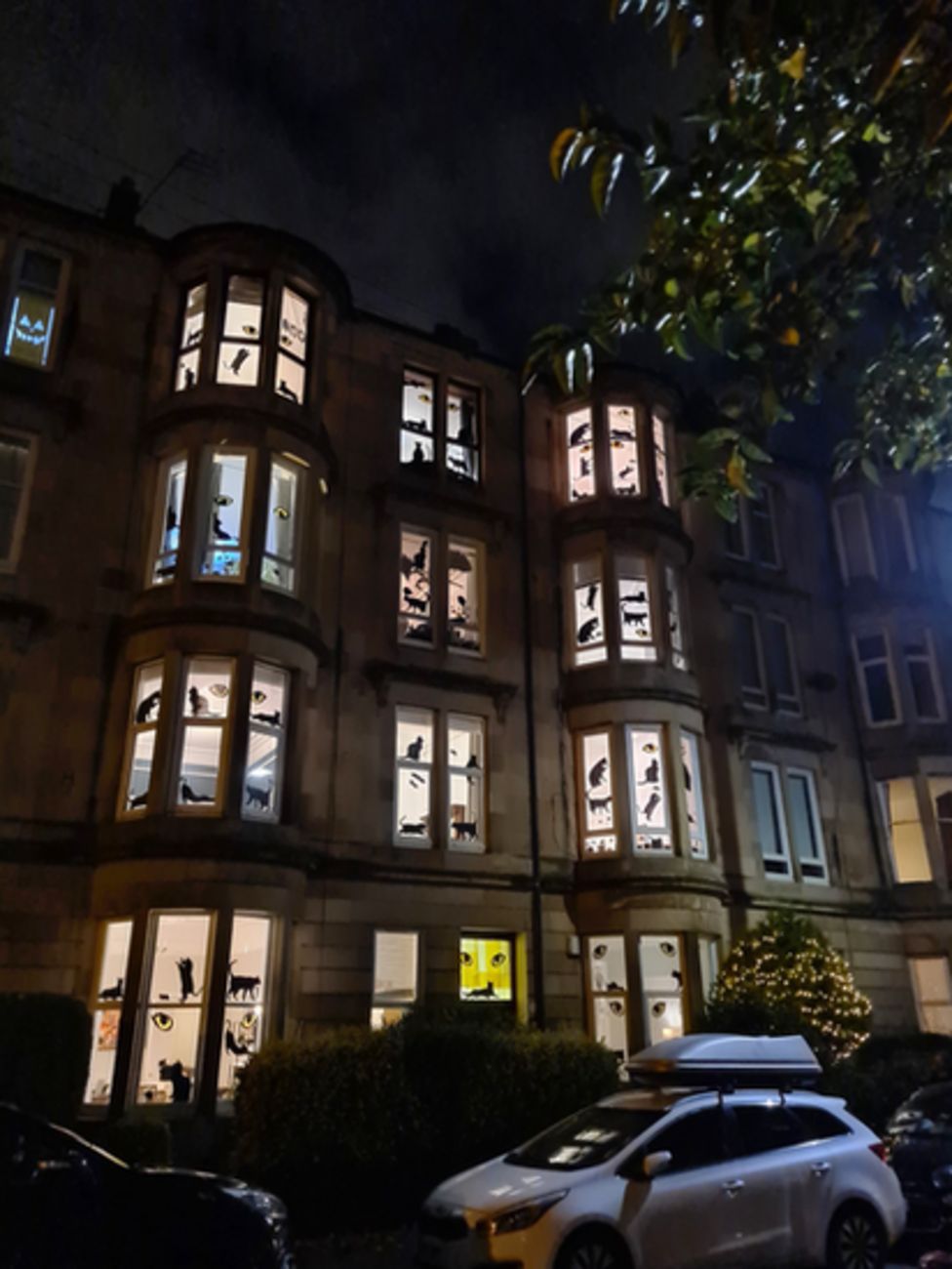 Witchy windows: Scots decorate homes for Halloween - BBC News
