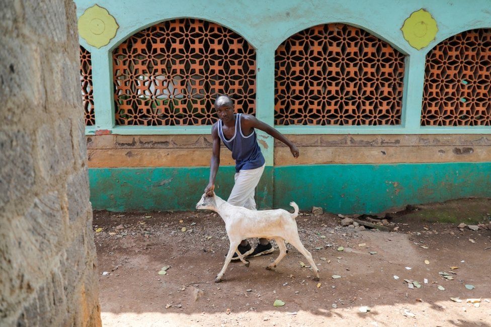 Africa's week in pictures: 16-22 July 2021 - BBC News