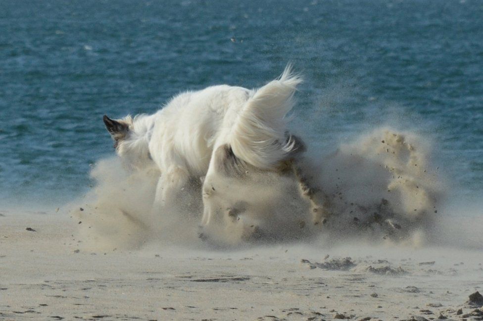Your pictures: Sand - BBC News