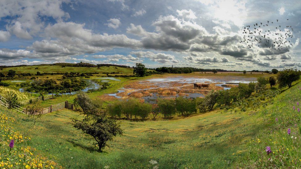 National Trust's laser mapping reveals lost Wallington woodlands - BBC News