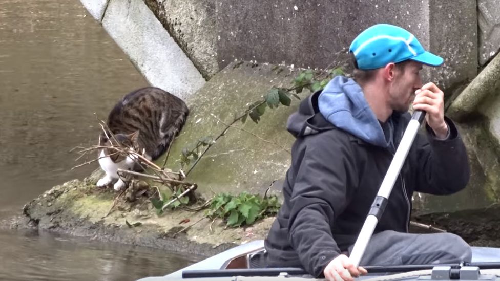 Kitten reunited with owner after M4 car crash - BBC News