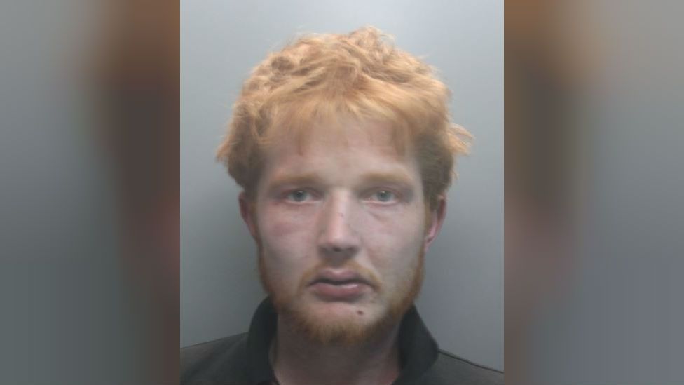 Serial fly-tipper jailed for two years - BBC News