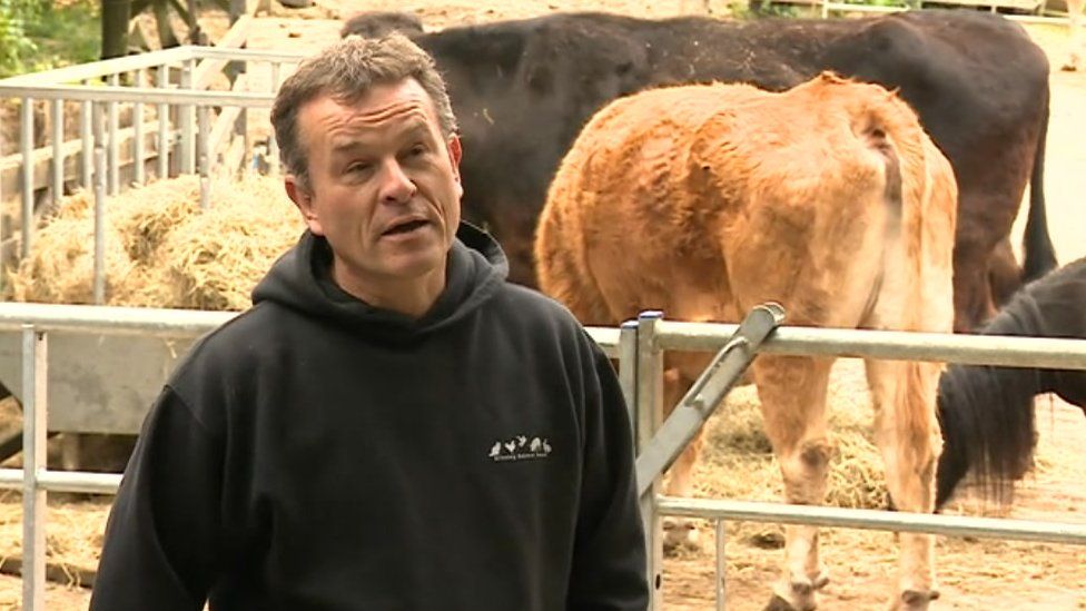 Nottinghamshire rescue centre warns against handling wild animals - BBC ...