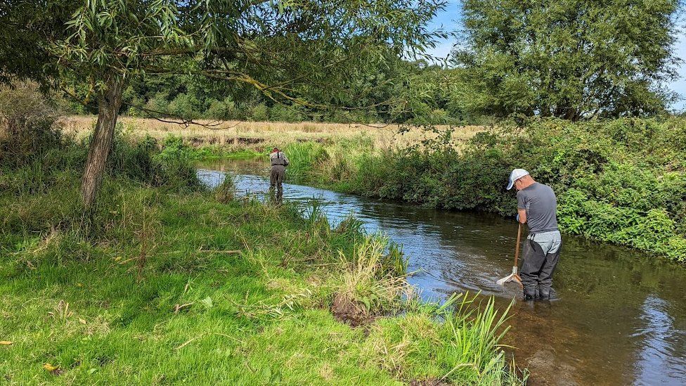 River Sherbourne to be returned to historical route - BBC News