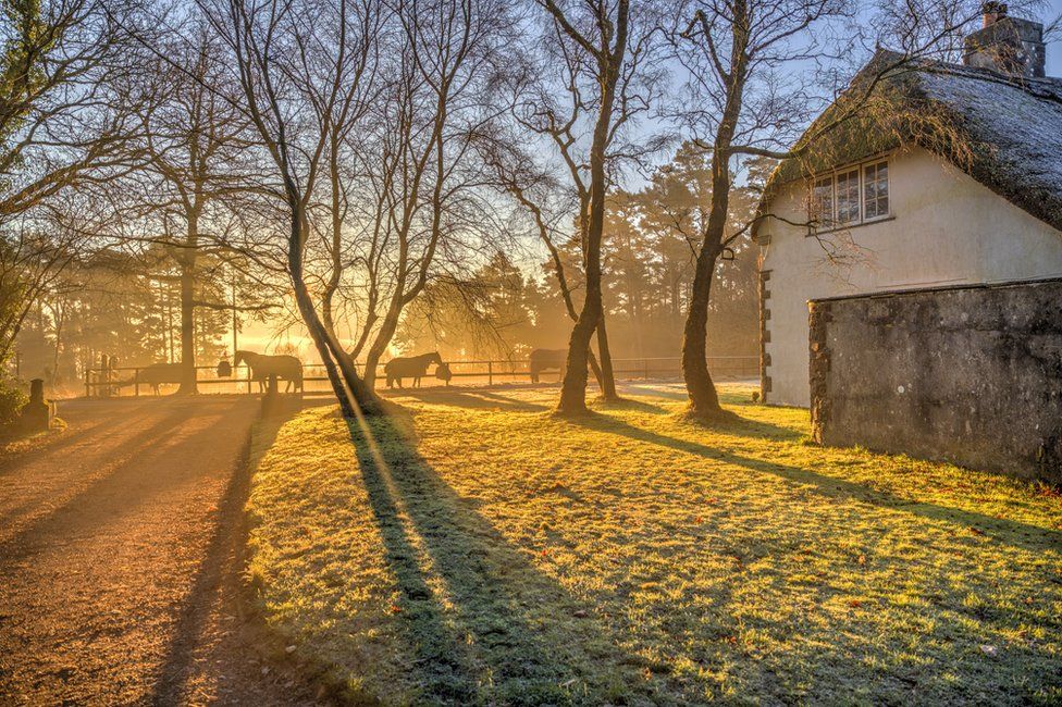 England's Big Picture: 23 - 29 January - BBC News