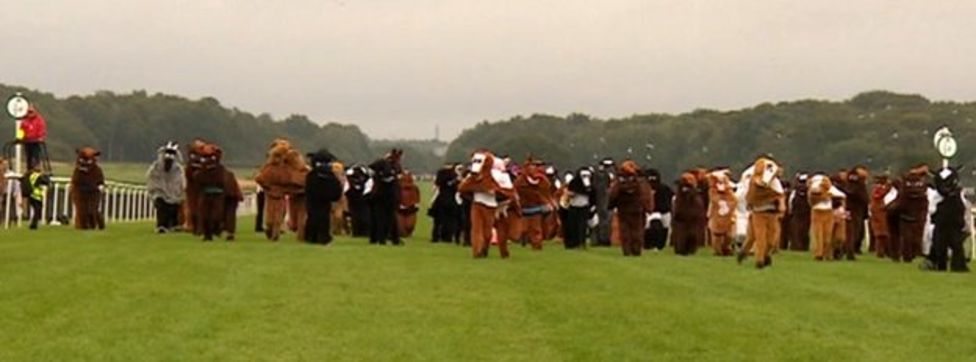 Newcastle Racecourse panto animals set new world record - BBC News