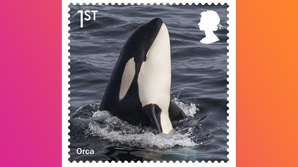 Royal Mail: New stamp collection to highlight marine life - BBC Newsround