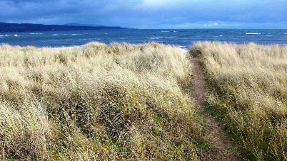 Nature agency's concerns over new Coul Links golf course - BBC News