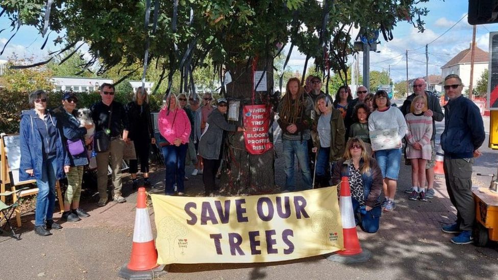 Rochford protesters leave oak tree camp as developer prepares felling ...
