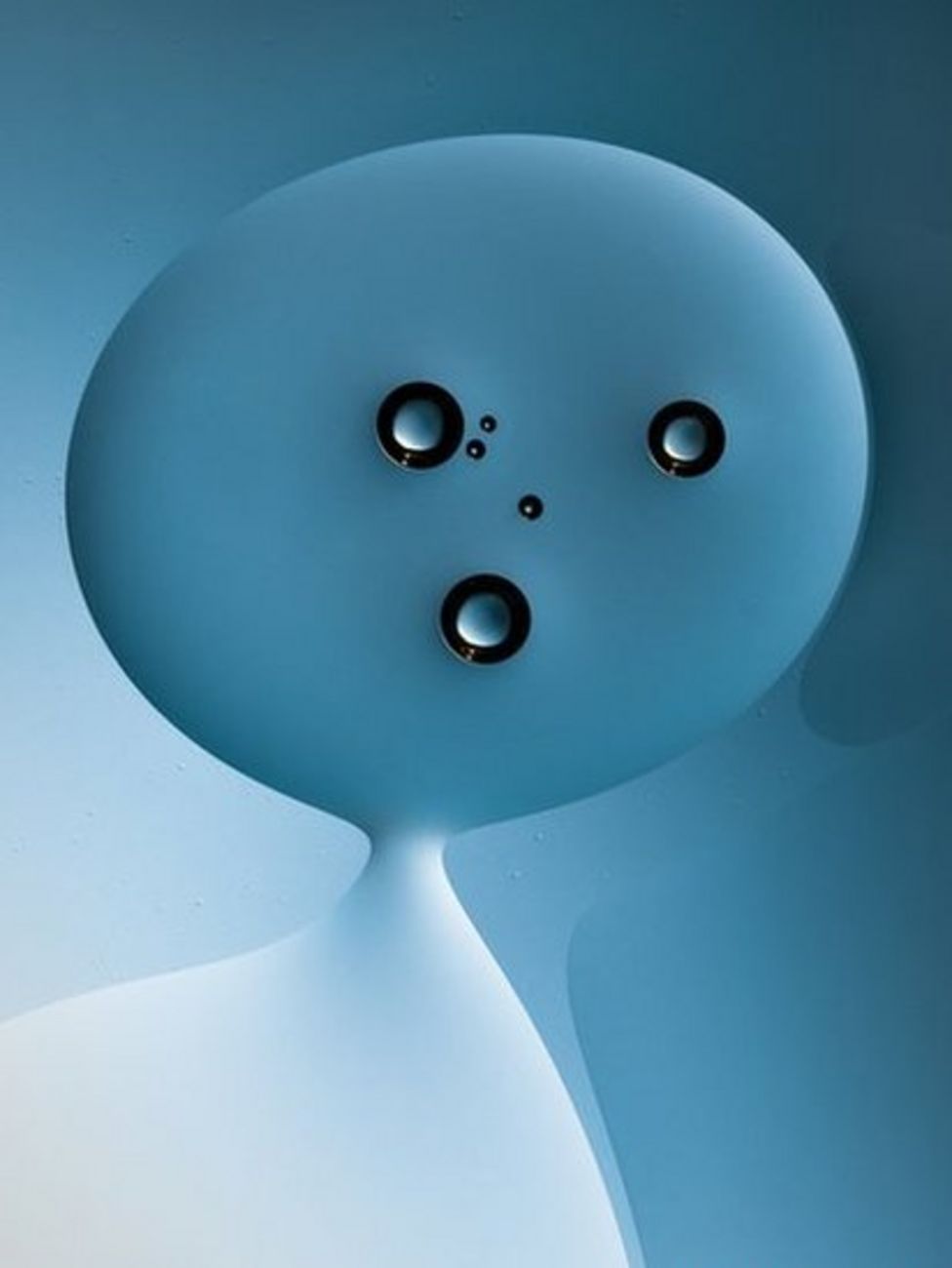 Close-up Photographer of the Year 2023: In pictures - BBC Newsround