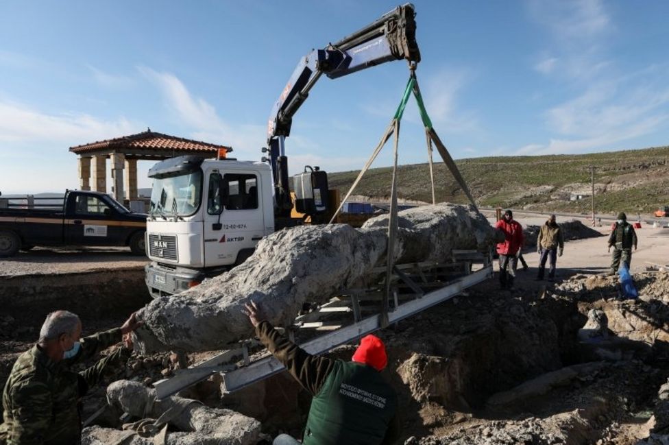 Archaeology: 20-million-year-old fossilised tree found in Greece - BBC ...