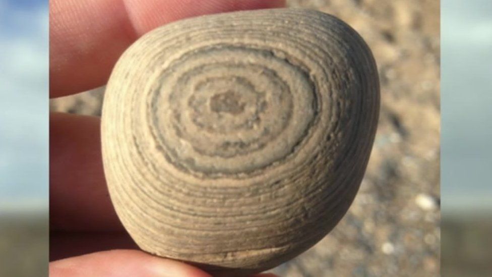 Pebble of the Day: Poet Dean Wilson posts 1,000th Twitter image - BBC News