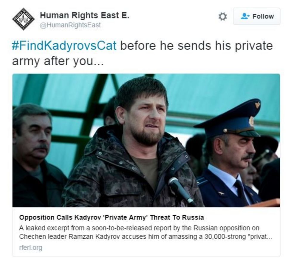 Internet not much help finding Chechen leader's missing cat - BBC News