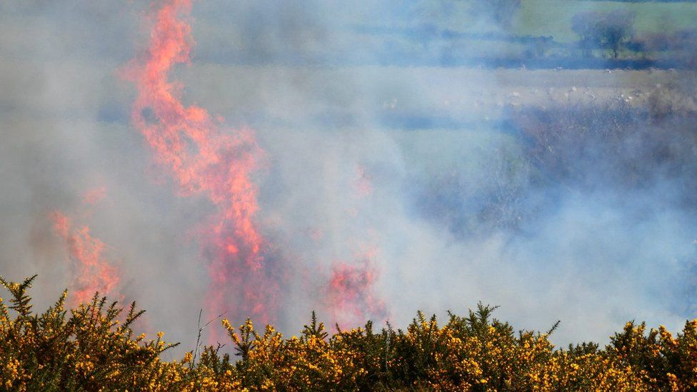 Major incident declared for Dartmoor gorse fire - BBC News