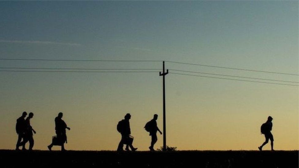 Ffoi o Aleppo i Fangor: Stori Walid Kodour - BBC Cymru Fyw