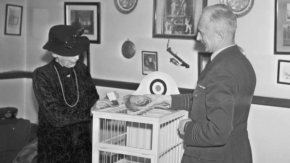 Winkie the WWII hero pigeon given statue in UK - BBC Newsround