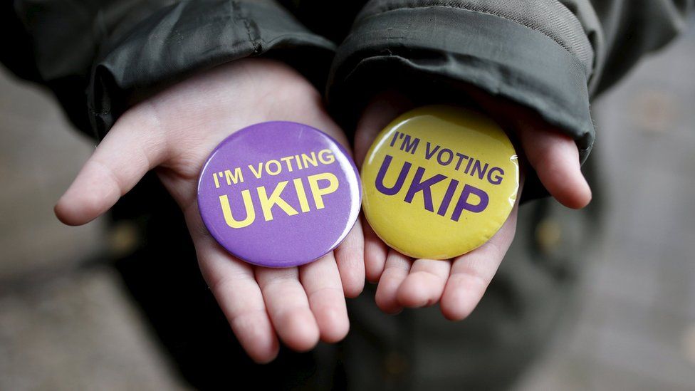 UKIP voters 'satisfied with Farage', party chairman says - BBC News