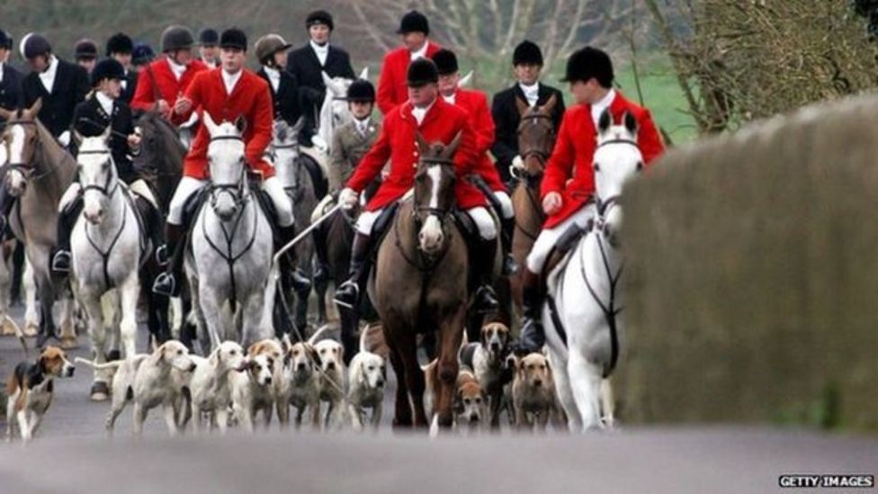 Fox hunting and EVEL: who has the whip hand? - BBC News