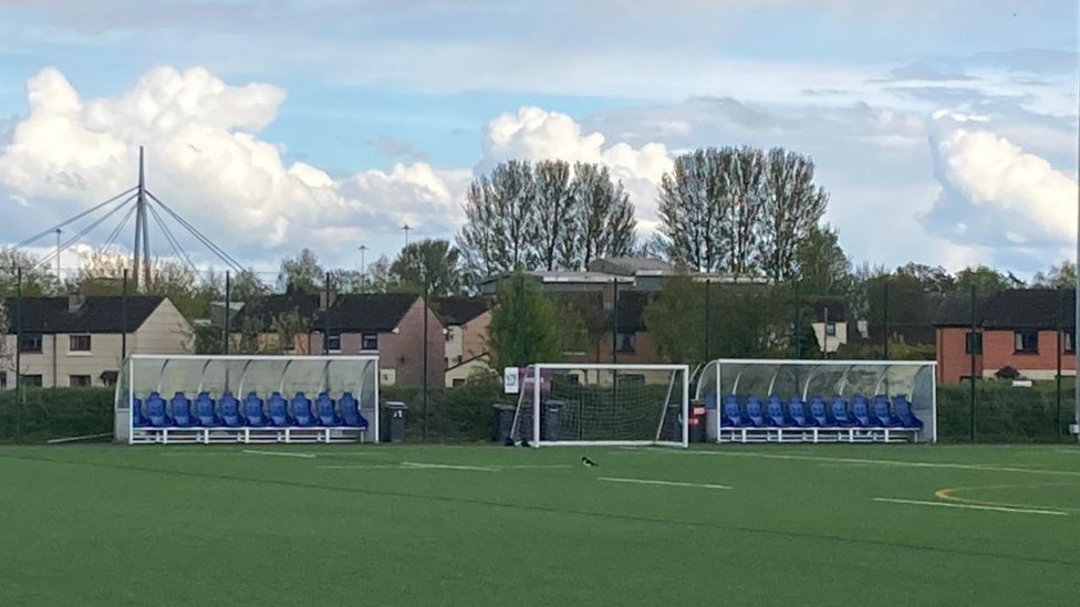 Oystercatcher eggs on Dumfries pitch hit football fixtures - BBC News