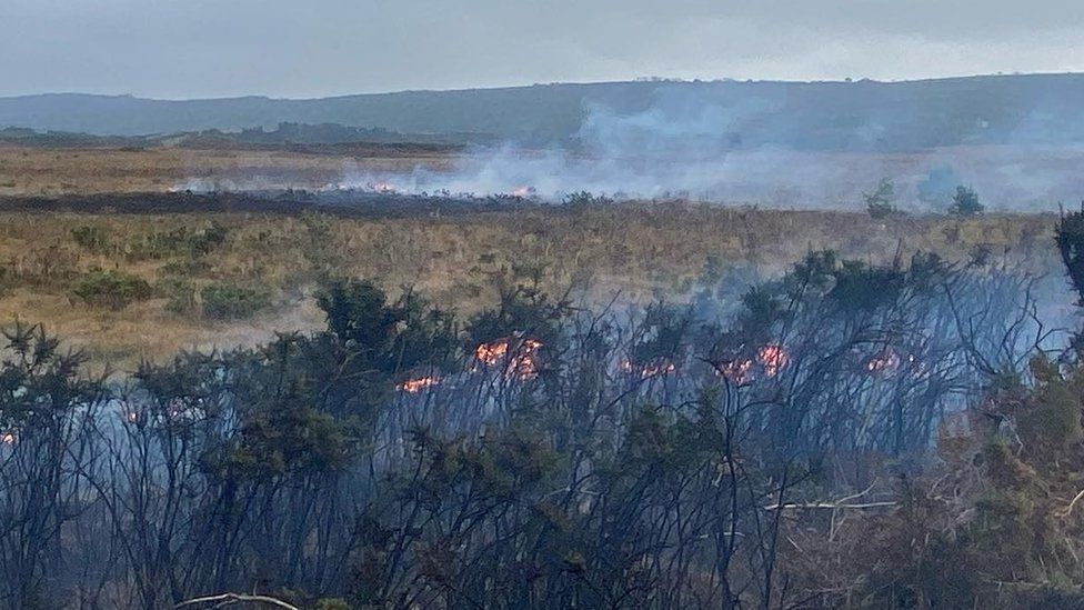 Lulworth coastal heathland fire breaks out - BBC News