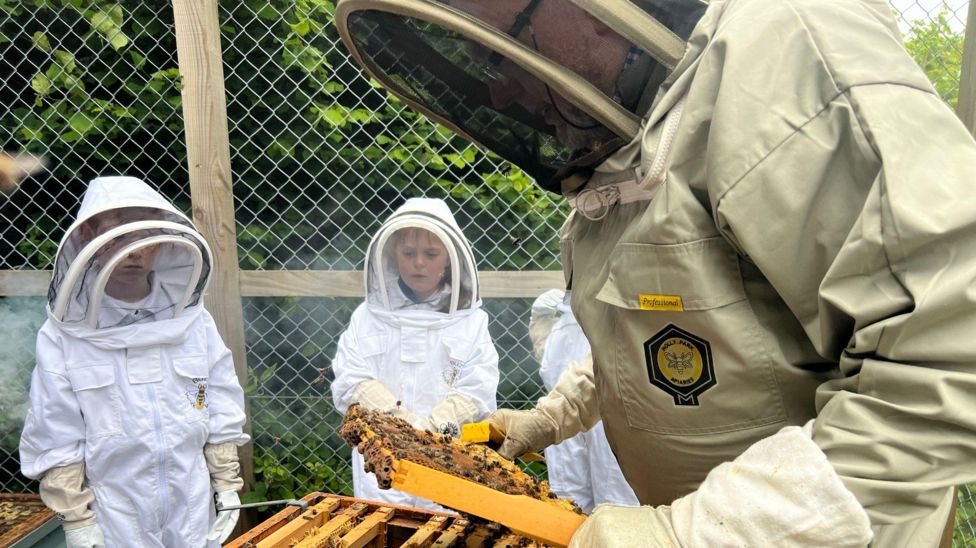 Devon school trains pupils to be 'mini beekeepers' - BBC News