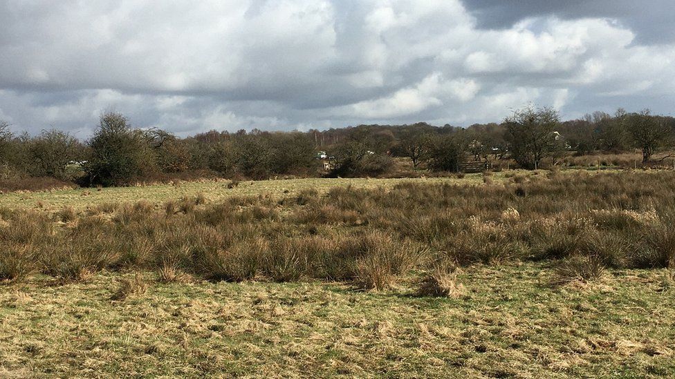 Cutacre: 'Scruffy' nature reserve restored after funding - BBC News