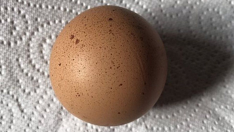Brize Norton family to auction round chicken egg - BBC News