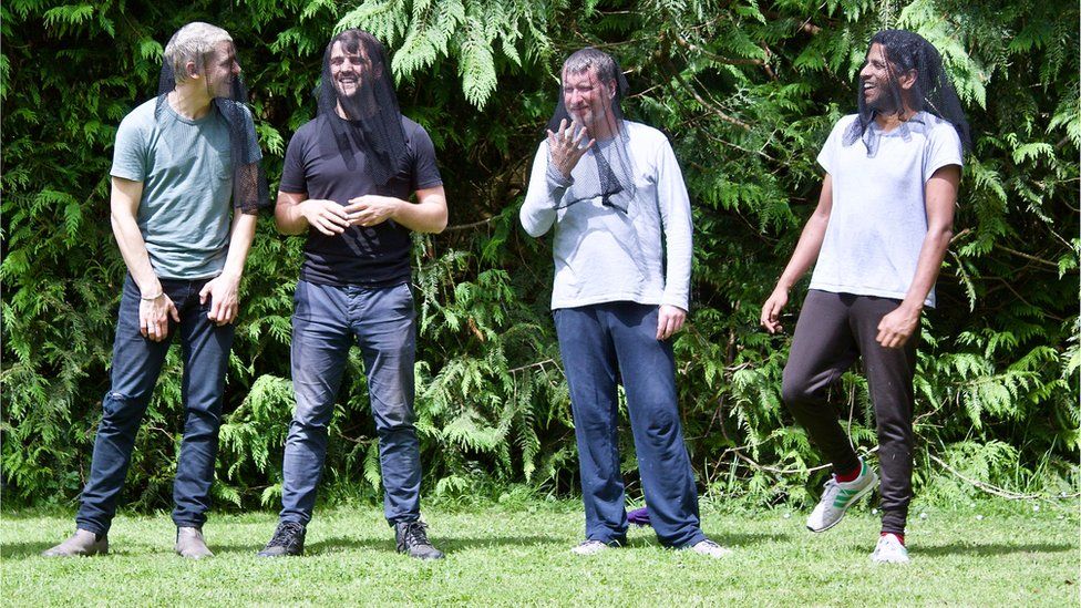 Shakespeare 'belongs to Ireland and the world' - BBC News