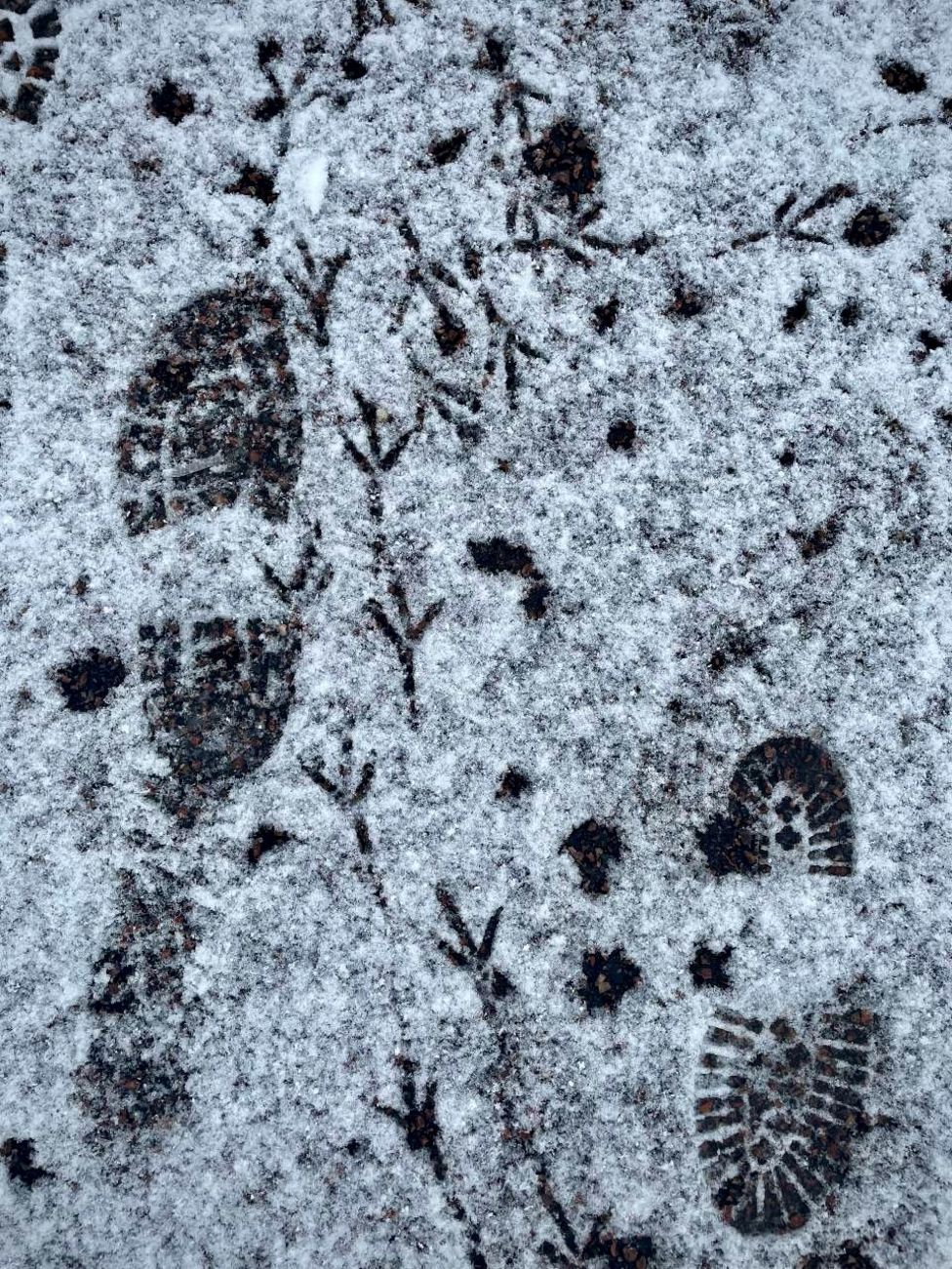 Your pictures of Scotland: 23-30 December - BBC News