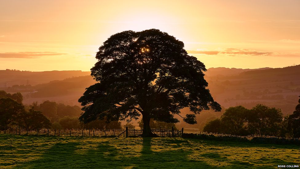 Autumn UK weather photos - BBC Weather