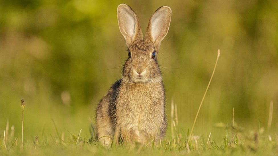 Your pictures of Scotland 24 - 31 July - BBC News