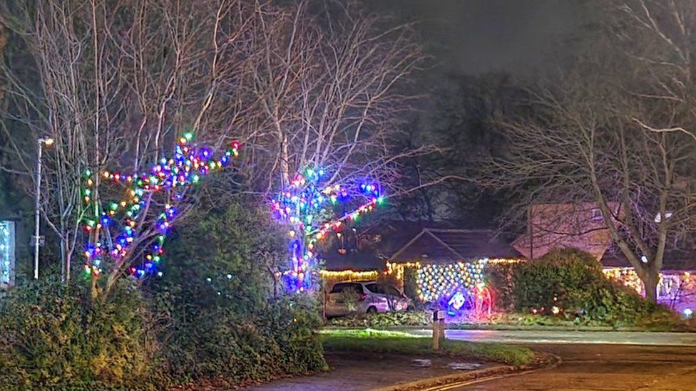 Oulton Broad Christmas Lane lights up for children's charity - BBC News