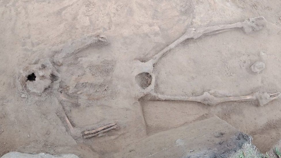 Guernsey skeleton found near buried porpoise 'a sailor' - BBC News