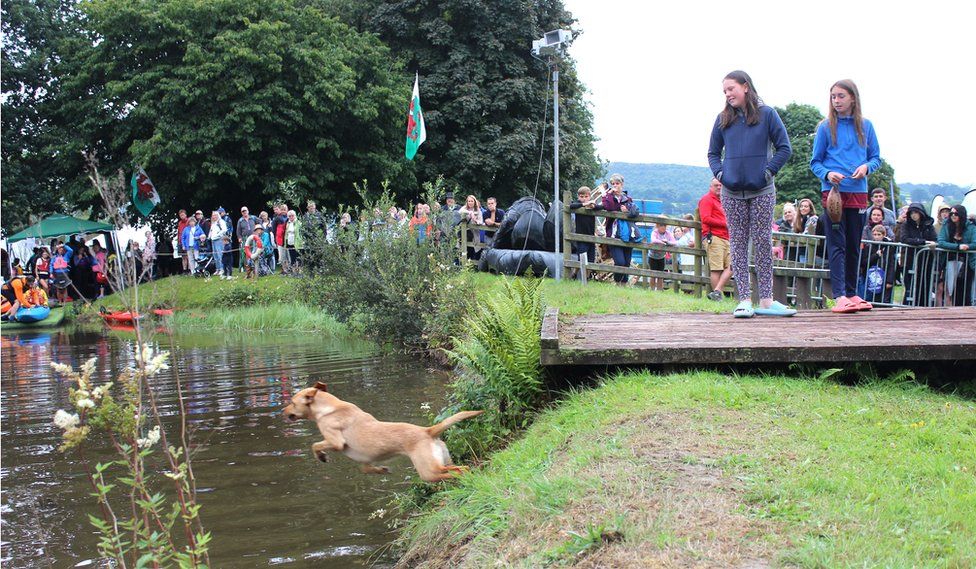 Royal Welsh Show: Pictures from the first day in Llanelwedd - BBC Cymru Fyw