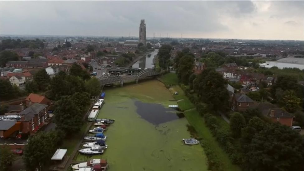 River Witham: Weed boats deployed to tackle plants choking waterway ...