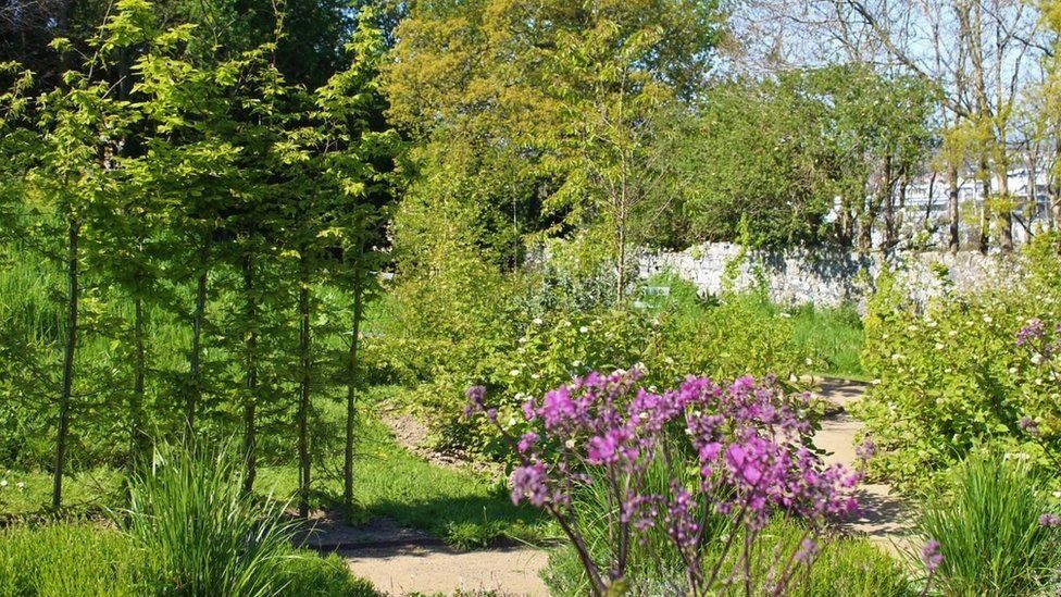 Peace garden opens in Guernsey - BBC News