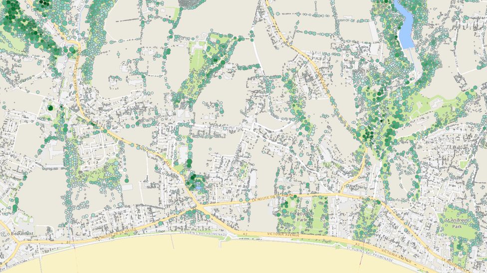 Interactive tree map to be made for Val de la Mare Arboretum - BBC News