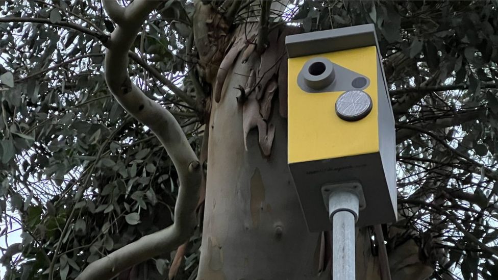 Fake speed camera installed by Suffolk farmer - BBC News